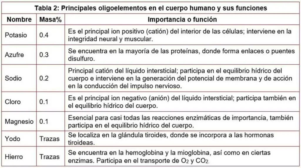 Bioelementos Definición Clasificación Funciones Y Ejemplos